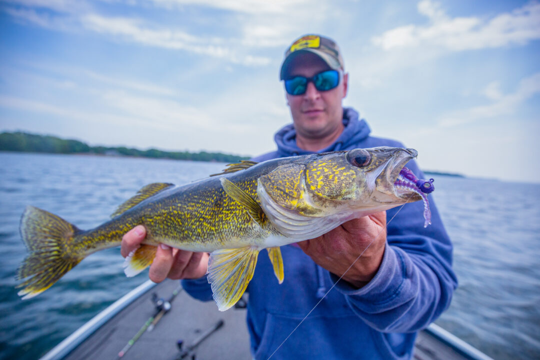 Walleye Eye-Candy Minnow | Northland Fishing Tackle