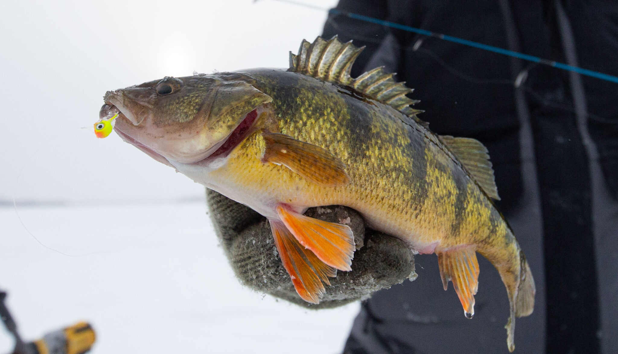 New Super-Glo Ice Lures | Northland Fishing Tackle