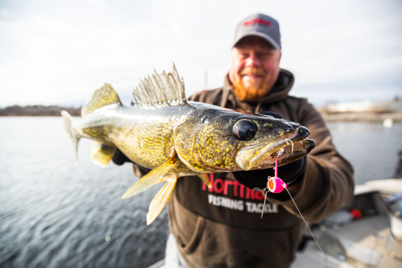 Spring River Run Walleyes | Northland Fishing Tackle