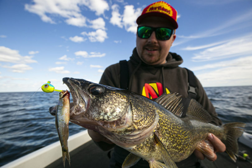 NEW MVP Jig: Walleye Hookset Approved | Northland Fishing Tackle