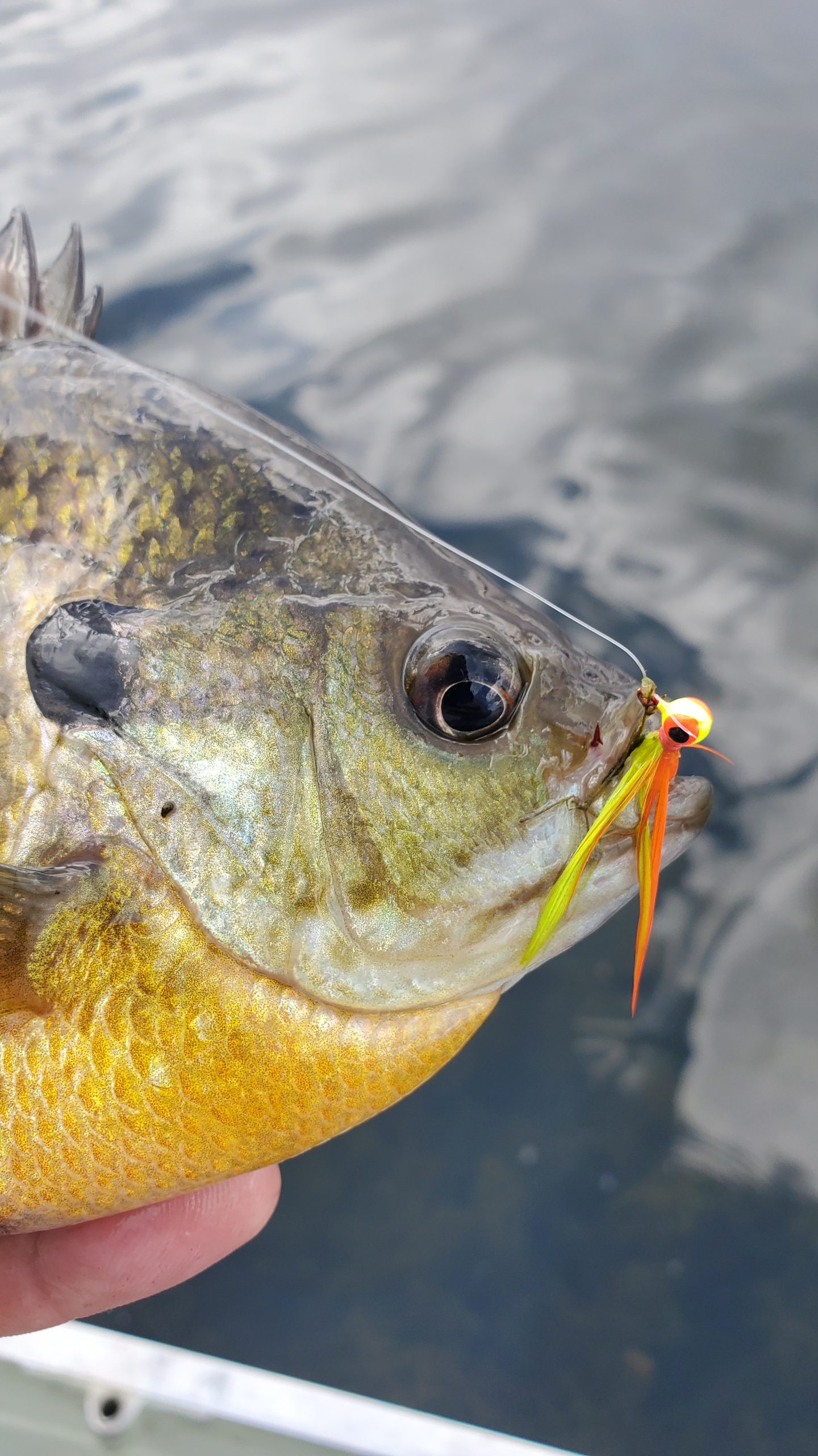 Spring Panfish Must Have Fishing Tackle | Northland Fishing Tackle