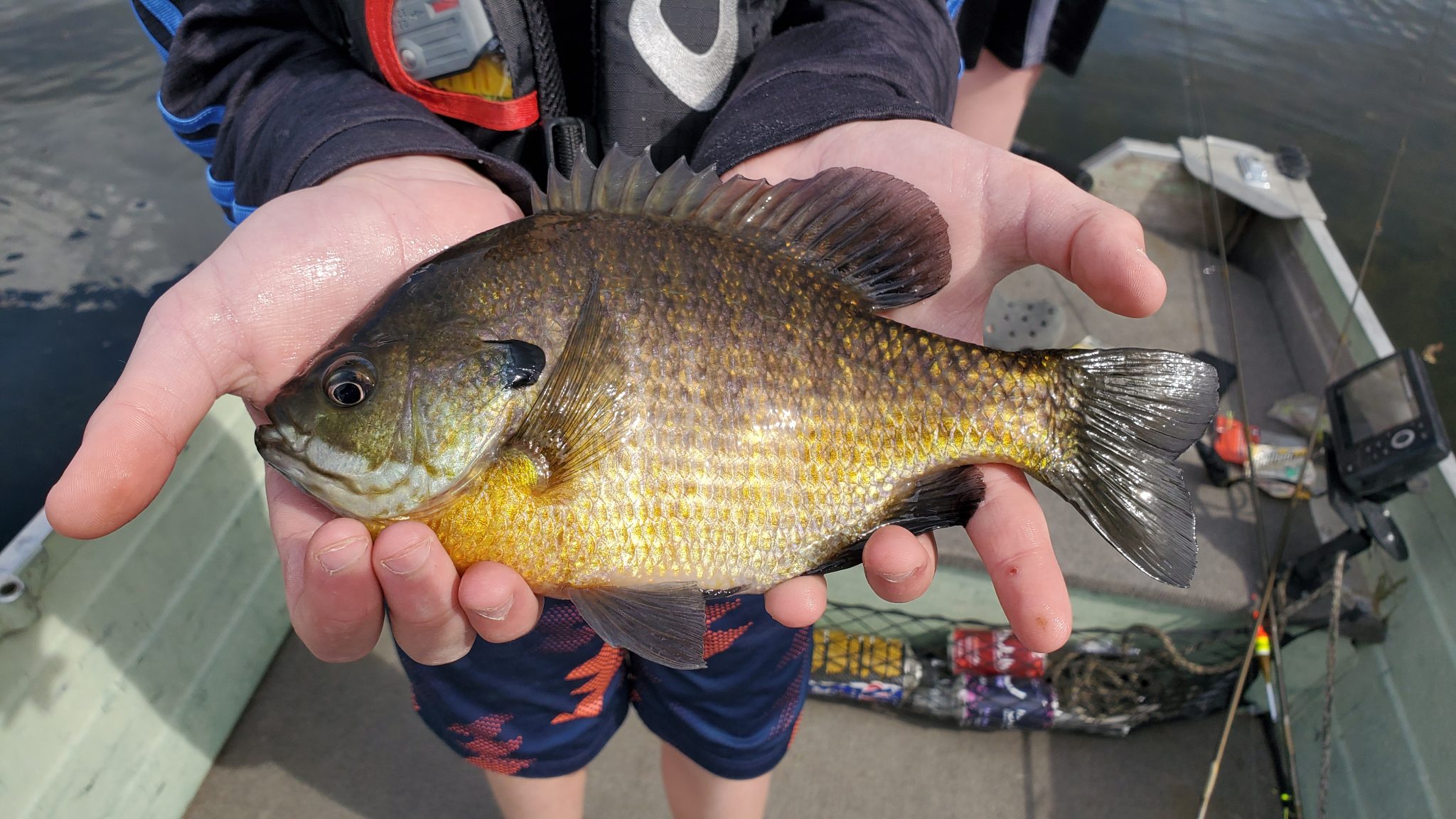 Spring Panfish Must Have Fishing Tackle | Northland Fishing Tackle