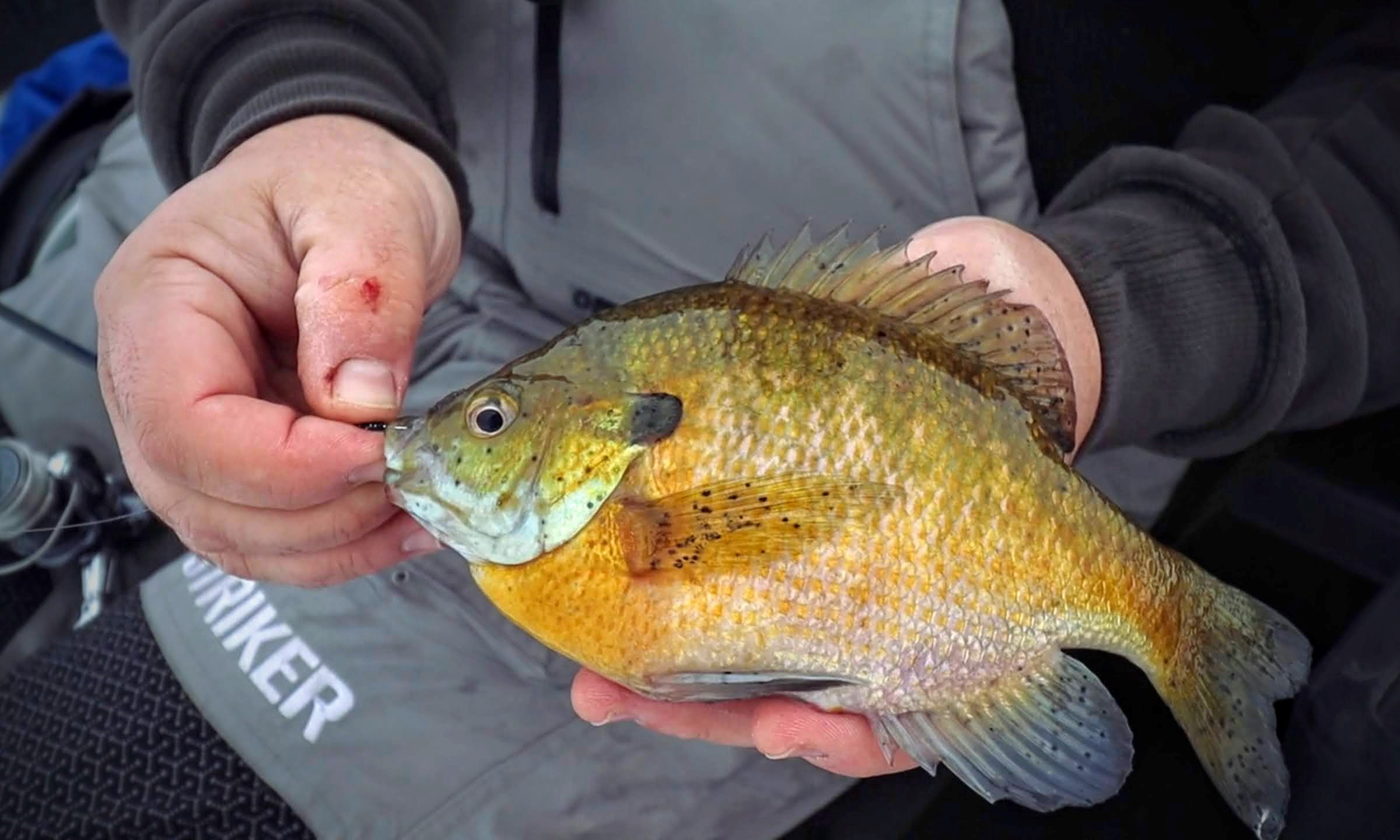 Tough Bite Panfish Tips | Northland Fishing Tackle