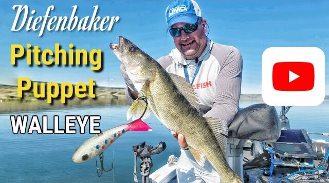 Walleye on Pitchin' Puppets | Northland Fishing Tackle