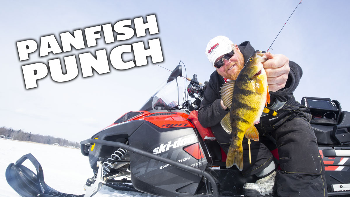 Tungsten Panfish Punch - Punch Jig & Punch Fly | Northland Tackle