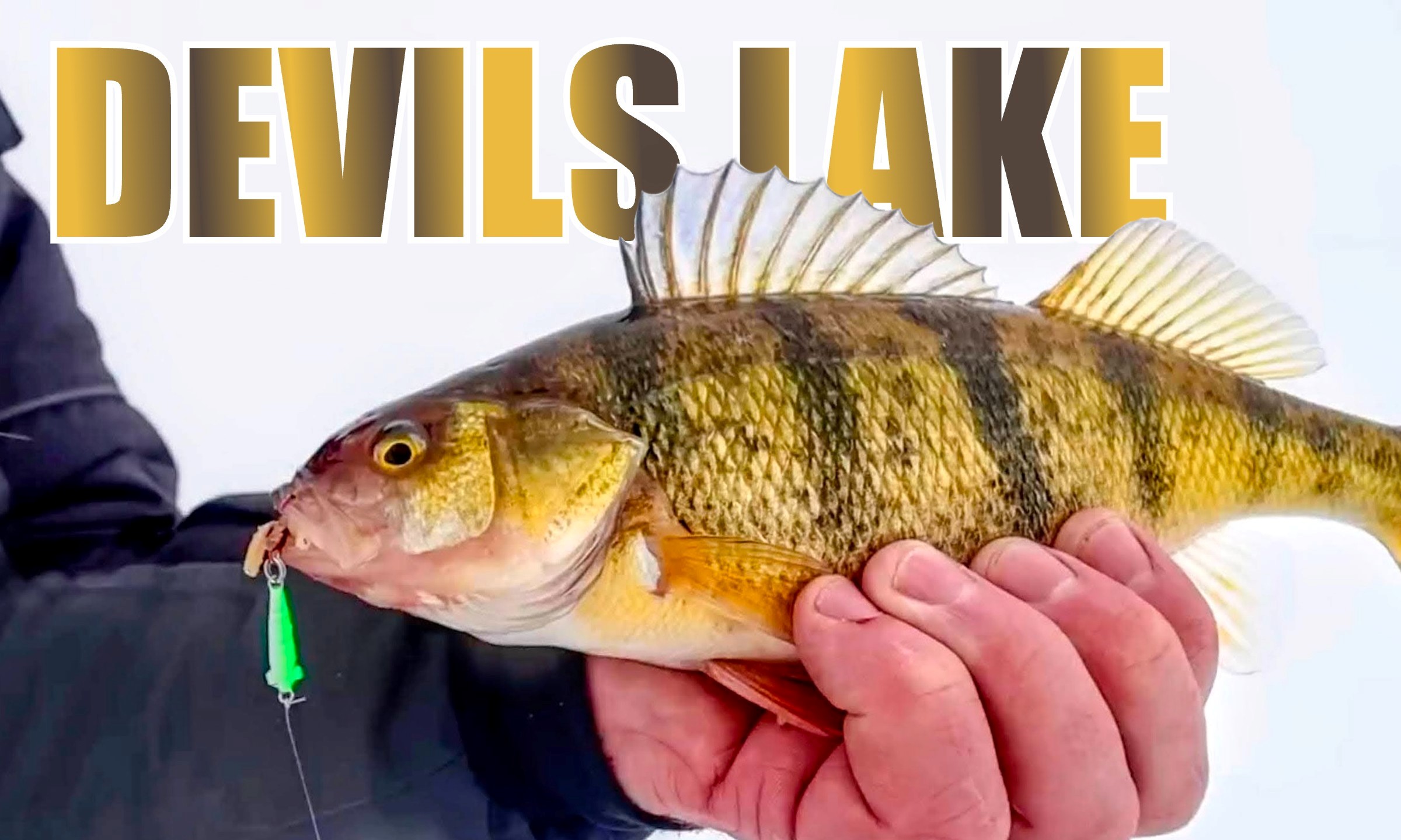Perch Tips Devils Lake | Northland Fishing Tackle