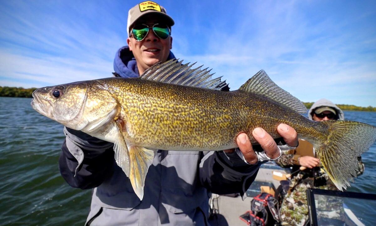 Tailormade Tungsten Walleye Jig | Northland Fishing Tackle