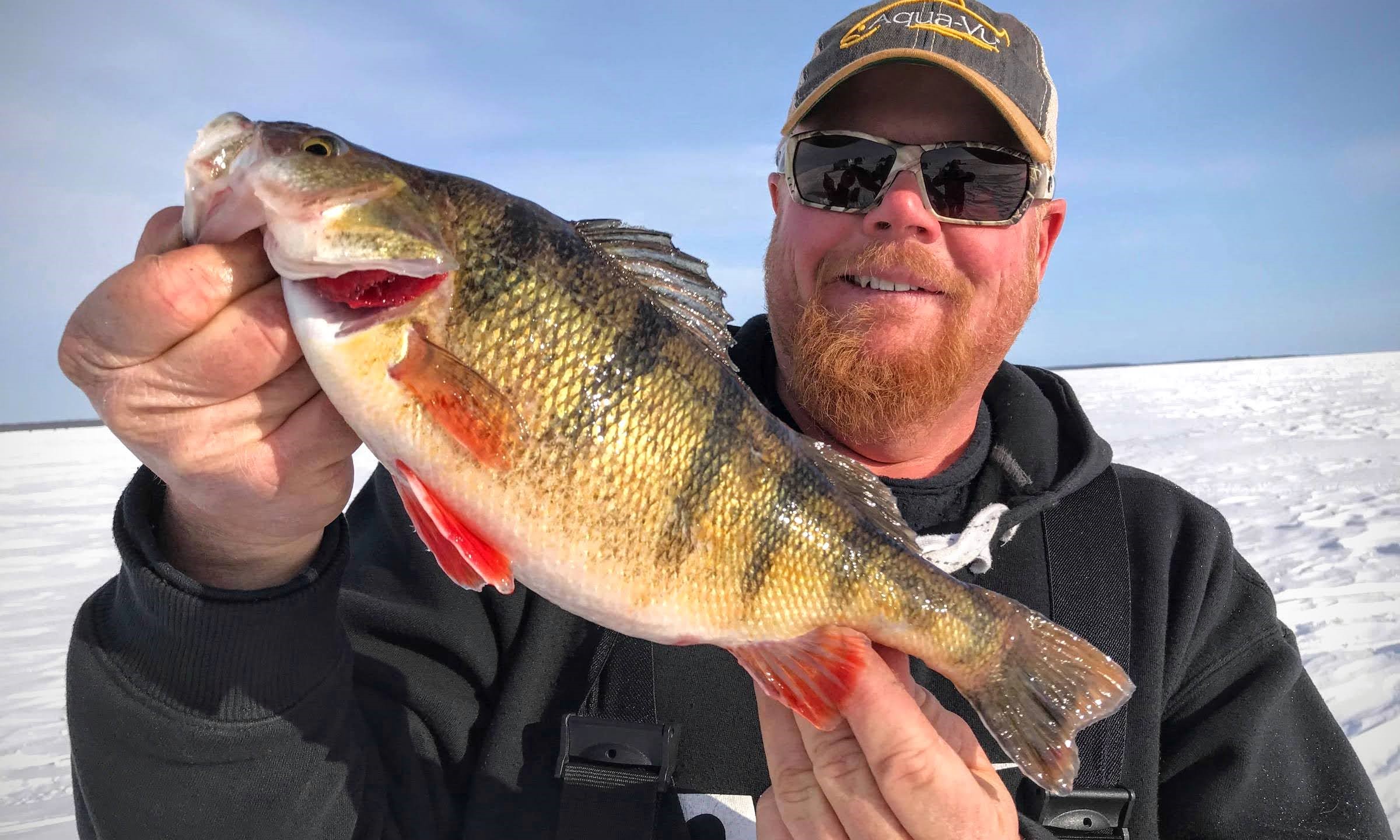 Ice Fishing Perch – EVERYTHING You Need To Know | Northland Tackle