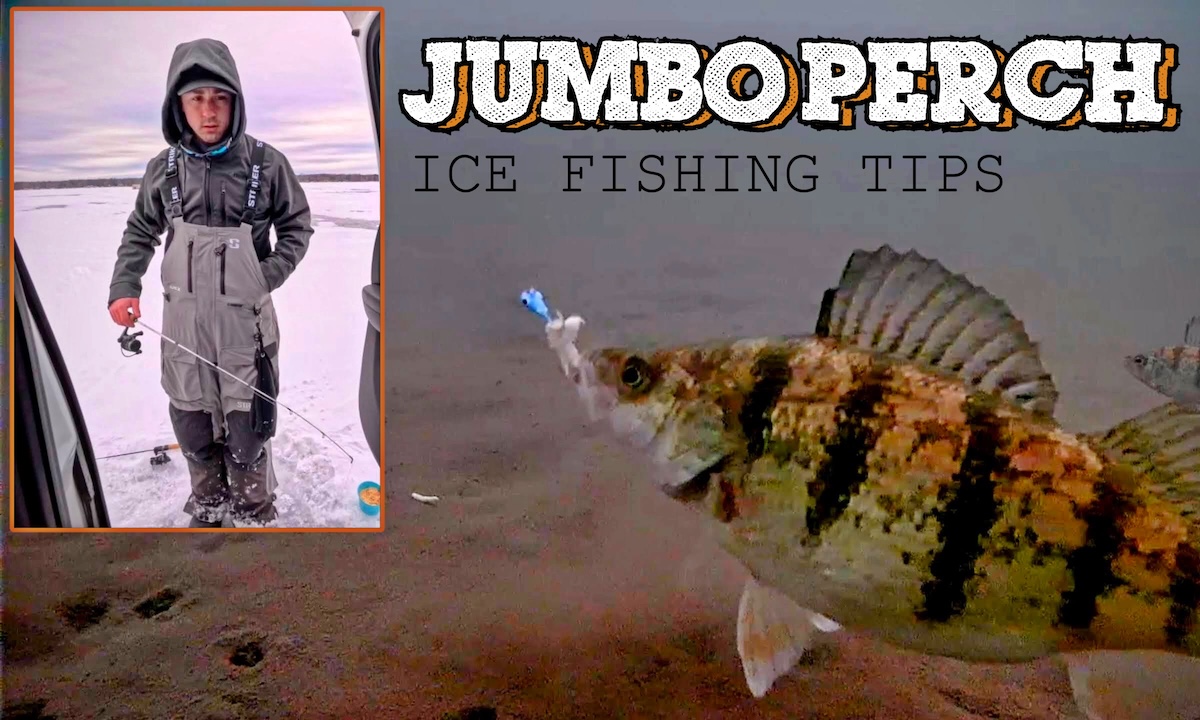 5 Jumbo Perch Tips | Northland Fishing Tackle