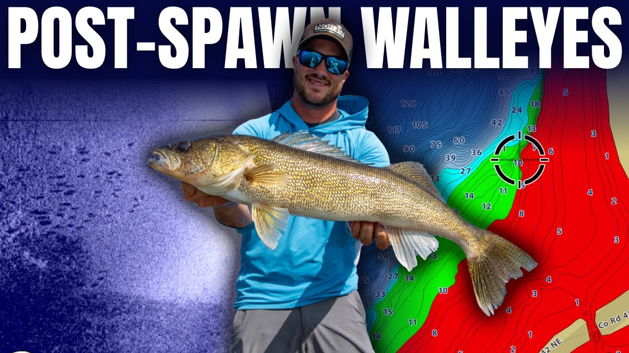 Post Spawn Walleye Locations Northland Fishing Tackle