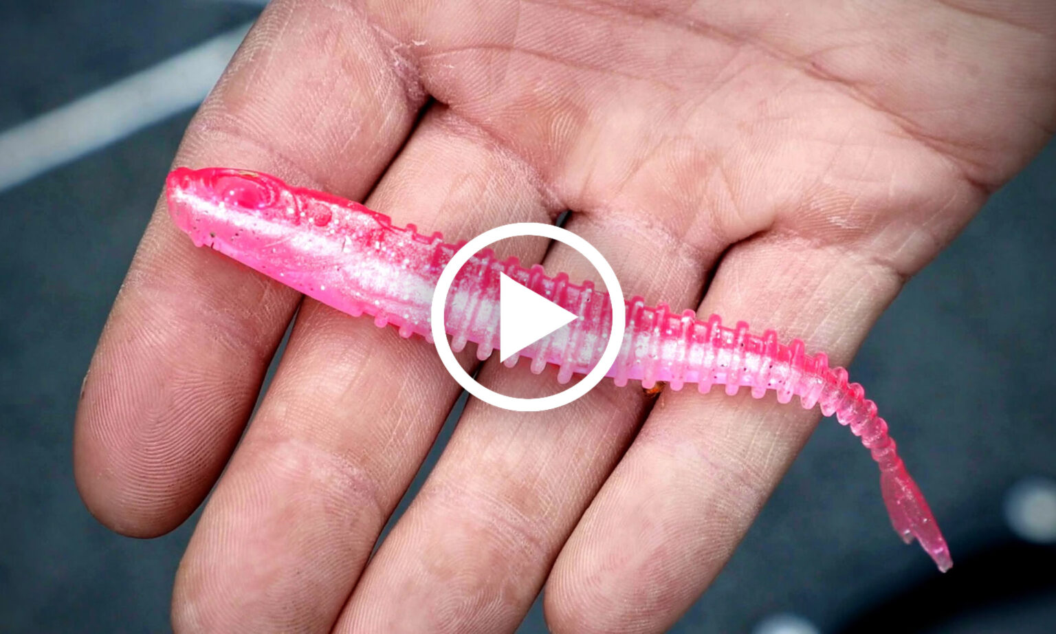 Walleye Soft Plastics Breakthrough | Northland Fishing Tackle