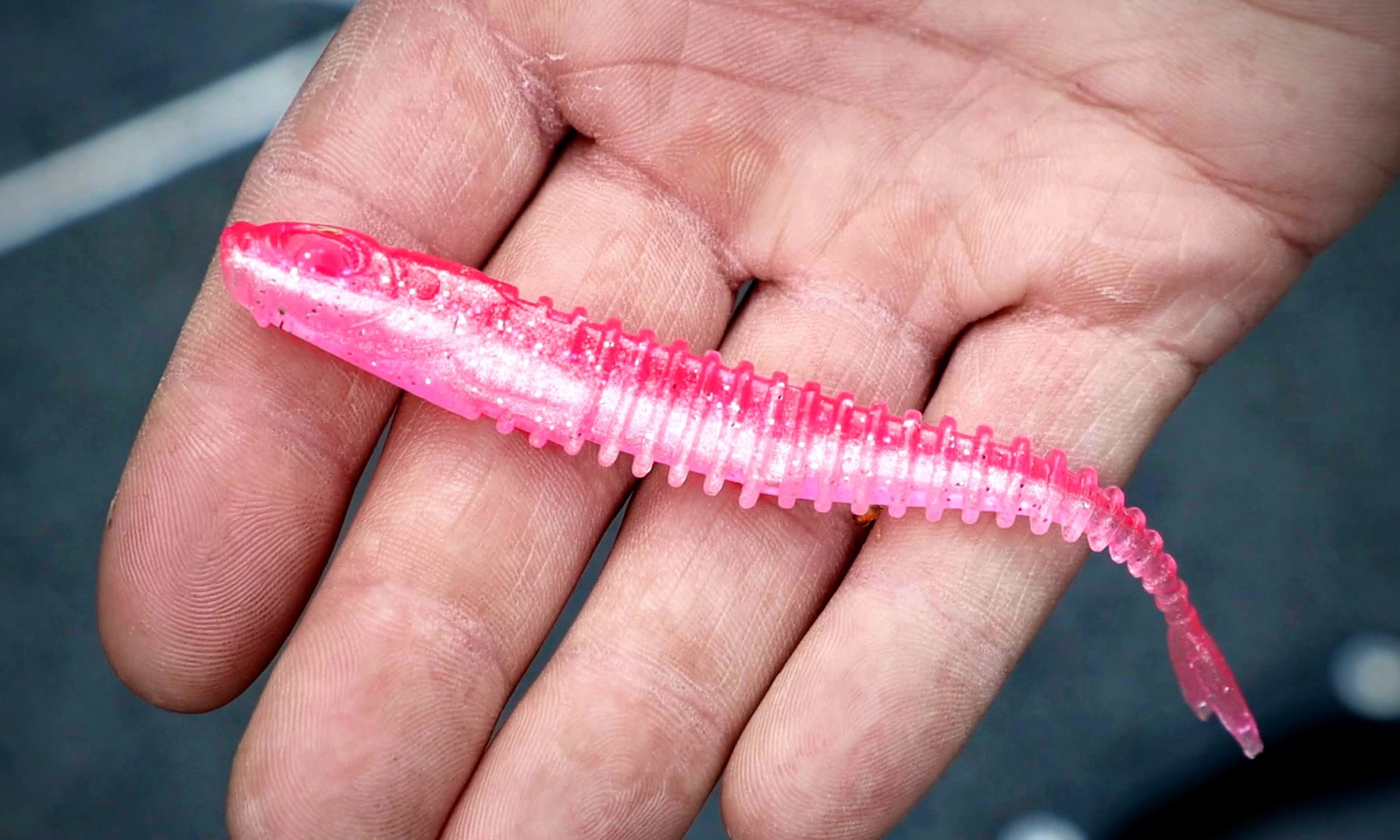 Introducing New Eye-Candy Plastics | Northland Fishing Tackle