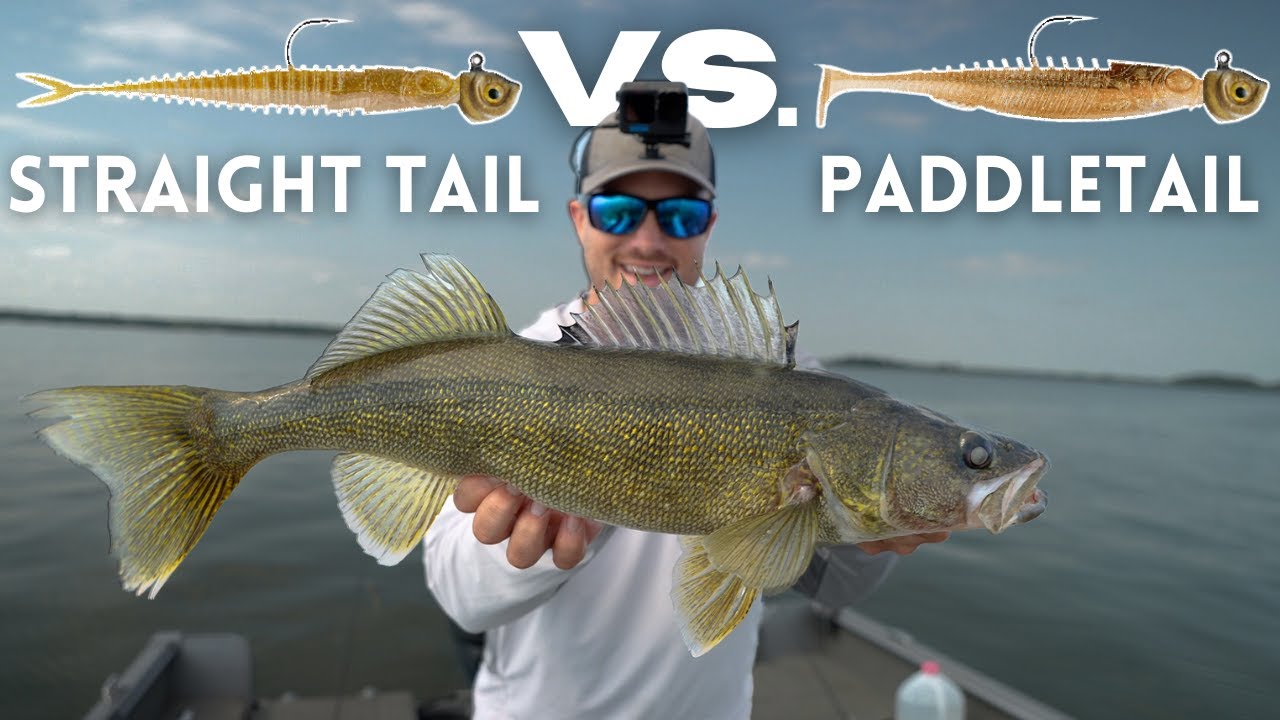 Best Walleye Plastics Comparison | Northland Fishing Tackle