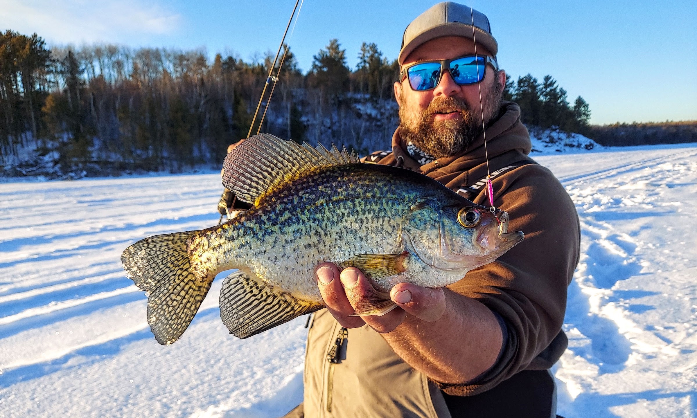 Midwinter Crappie Fishing Tips | Northland Fishing Tackle