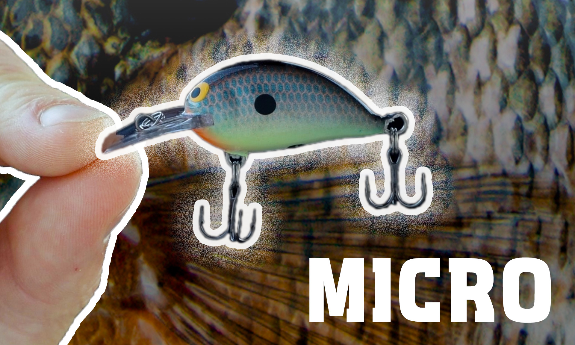 New Bite-Sized Micro Crankbaits | Northland Fishing Tackle