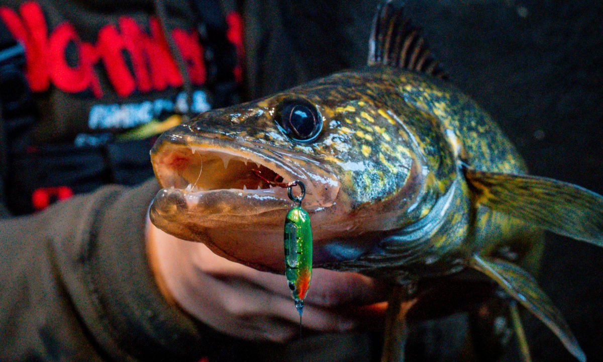 NEW Glass Buck-Shot Spoon | Northland Fishing Tackle