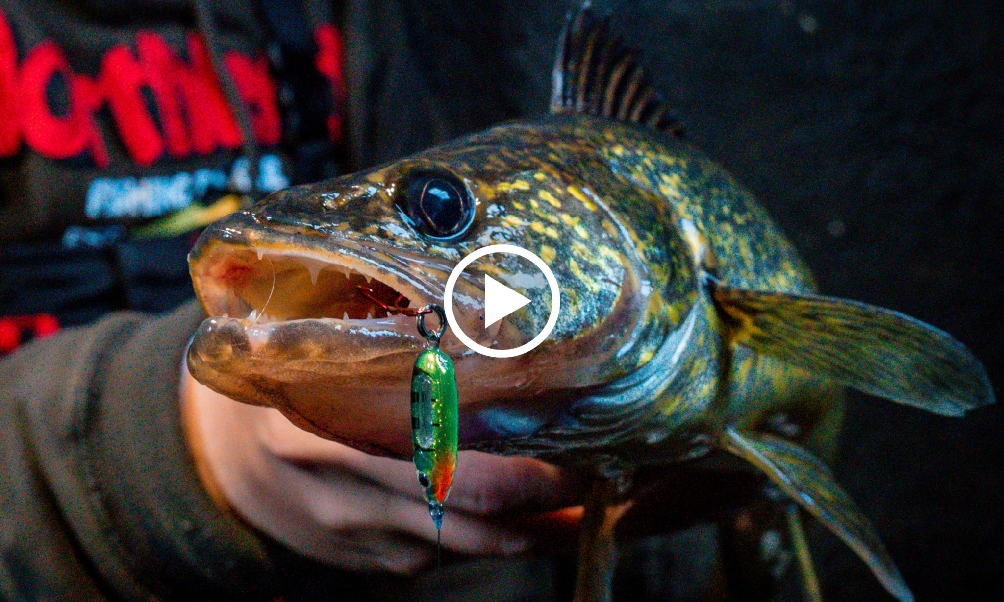 Glass Buck-Shot Rattle Spoon | Northland Fishing Tackle