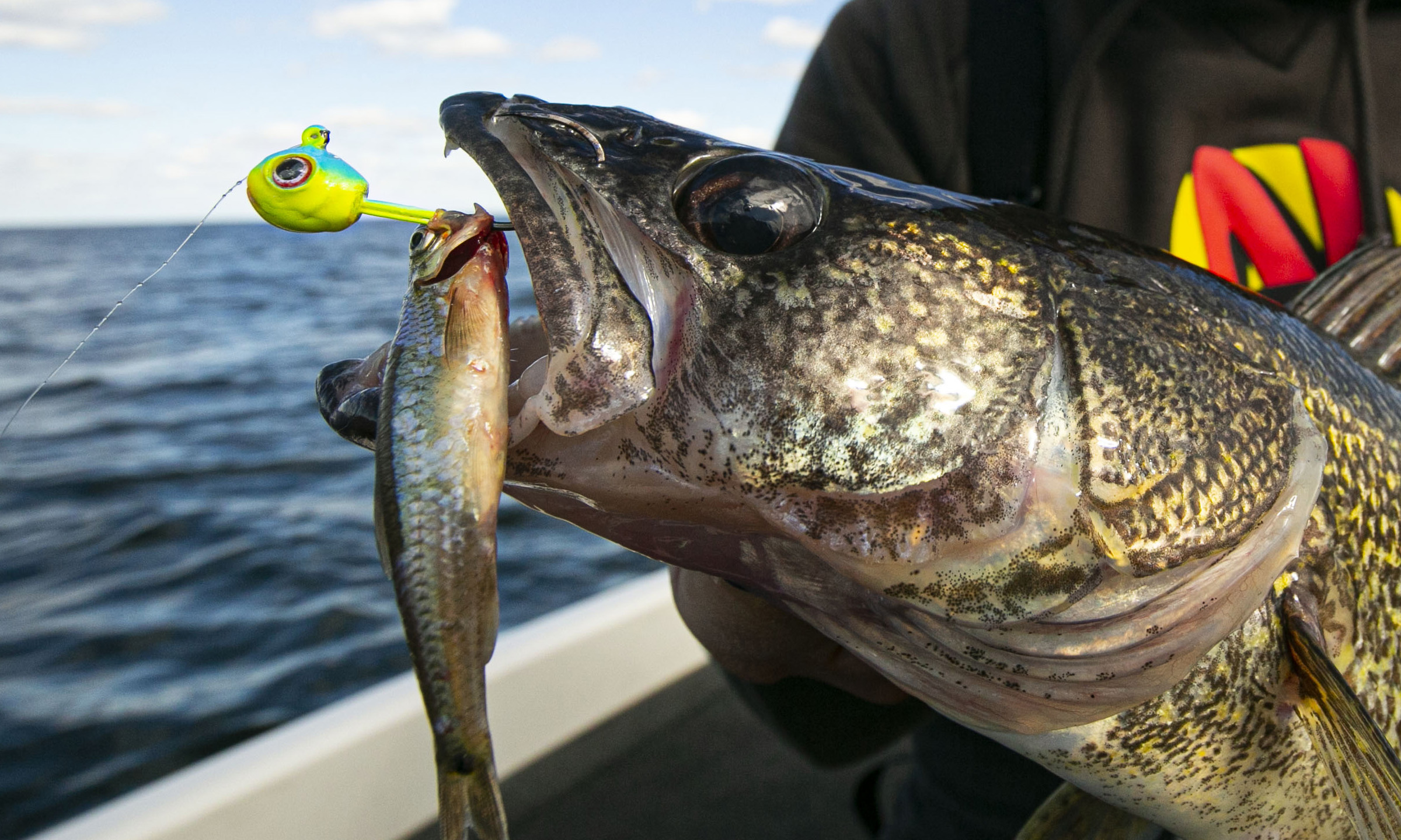 HUGE Lineup of Brand New Jigs | Northland Fishing Tackle