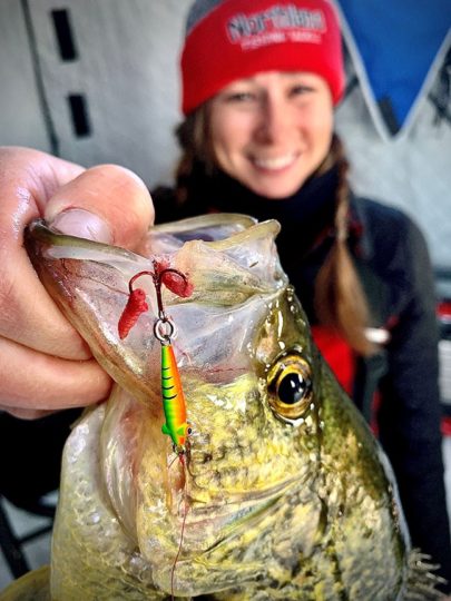 Winning Tactics for Big Panfish | Northland Fishing Tackle