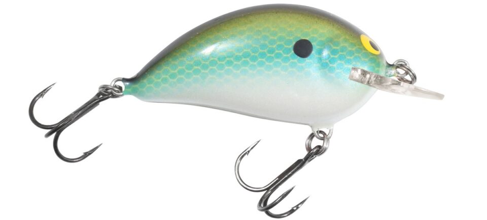 Elite Crankbaits - Sunny B Breakdown | Northland Fishing Tackle