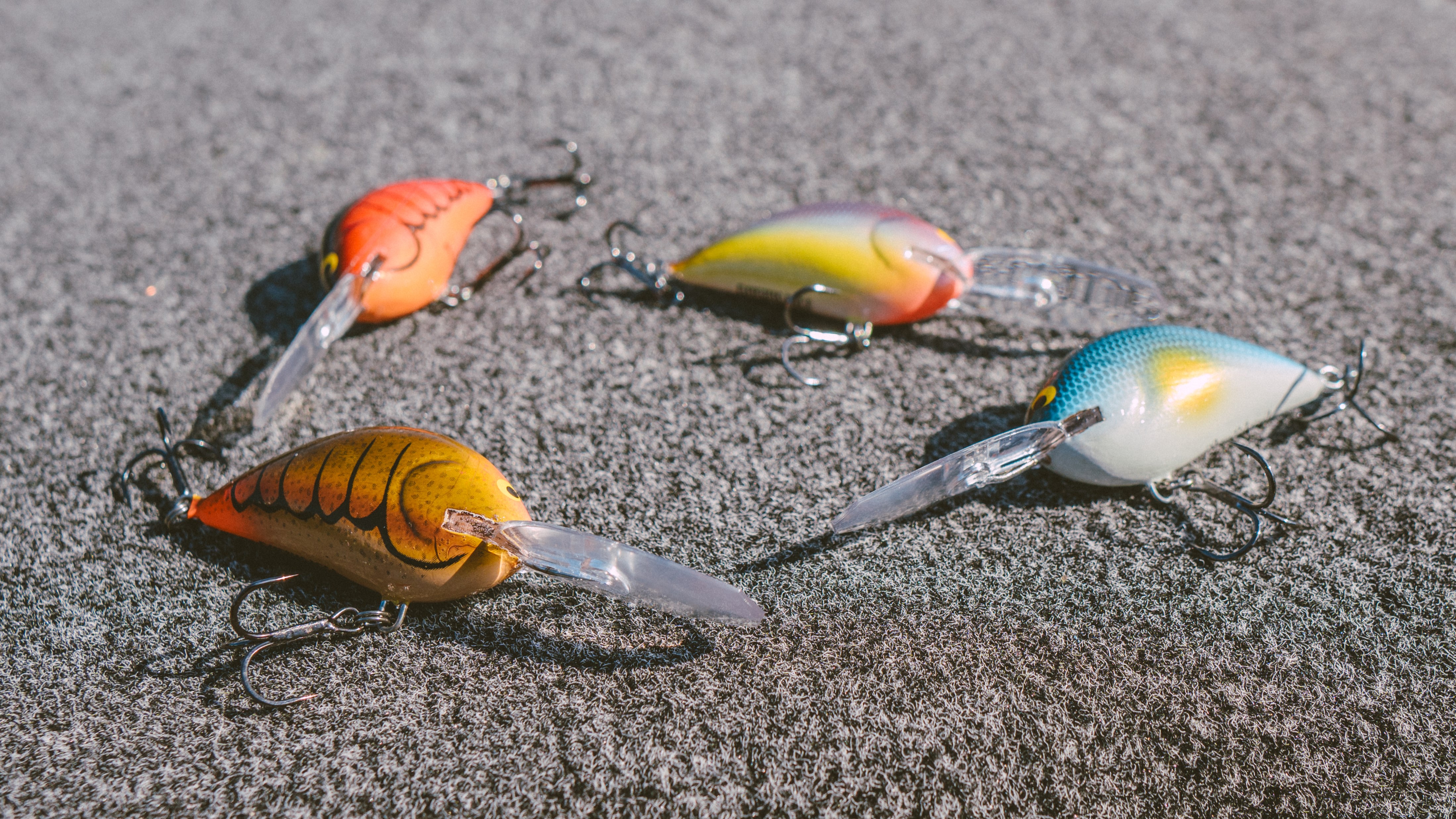 Elite Pro Sunny B Deep | Northland Fishing Tackle