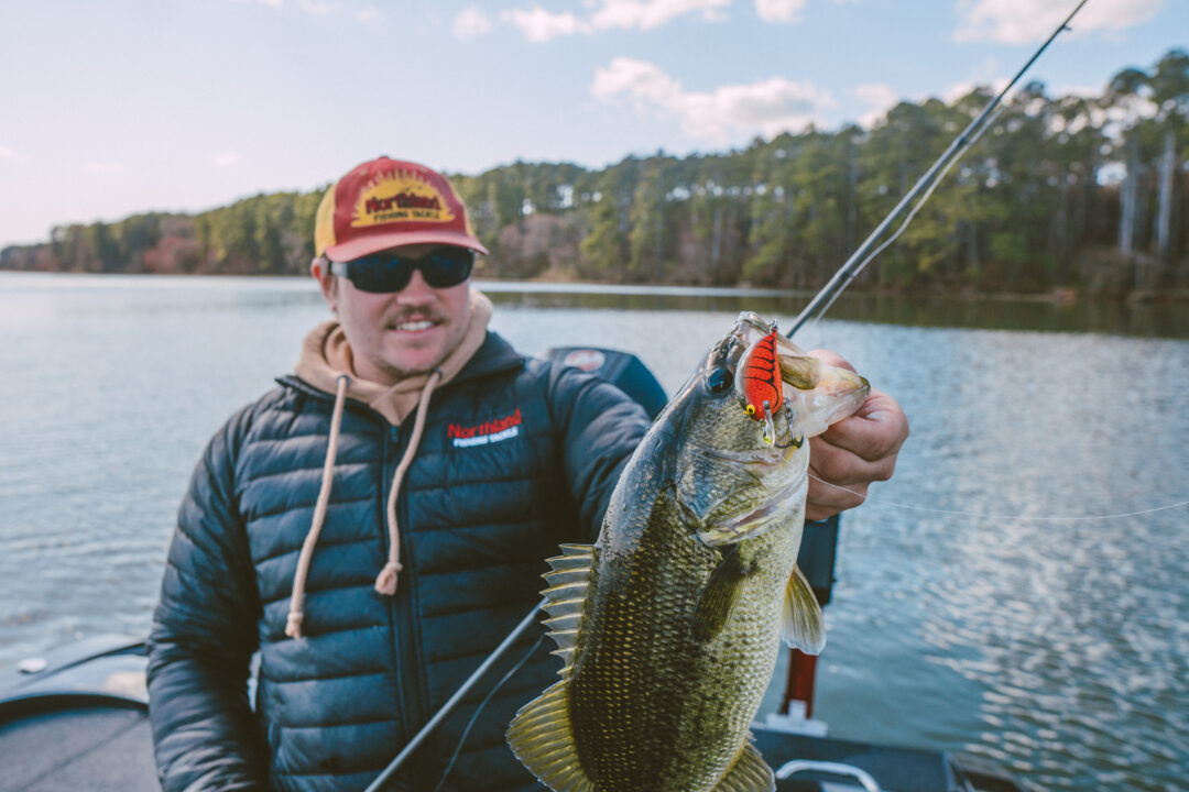 Shallow Sunny B Masterclass | Northland Fishing Tackle