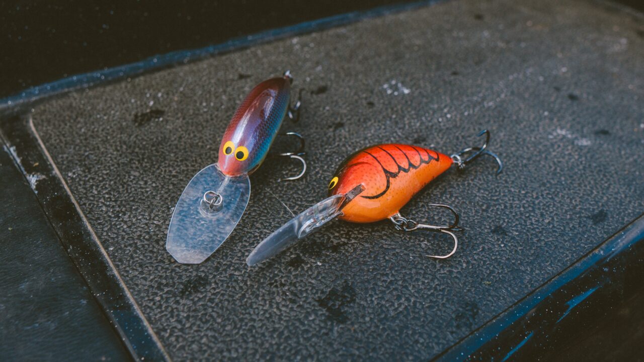 Elite Pro Sunny B Deep | Northland Fishing Tackle