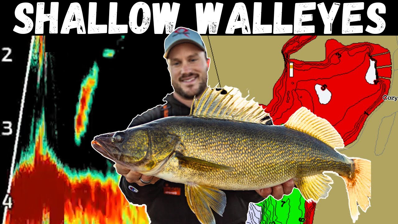 Jigging Shallow Spring Walleyes | Northland Fishing Tackle