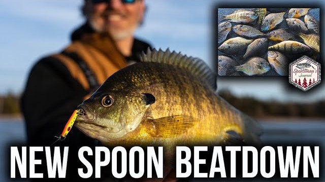 Panfish Tungsten Ice Spoon | Northland Fishing Tackle