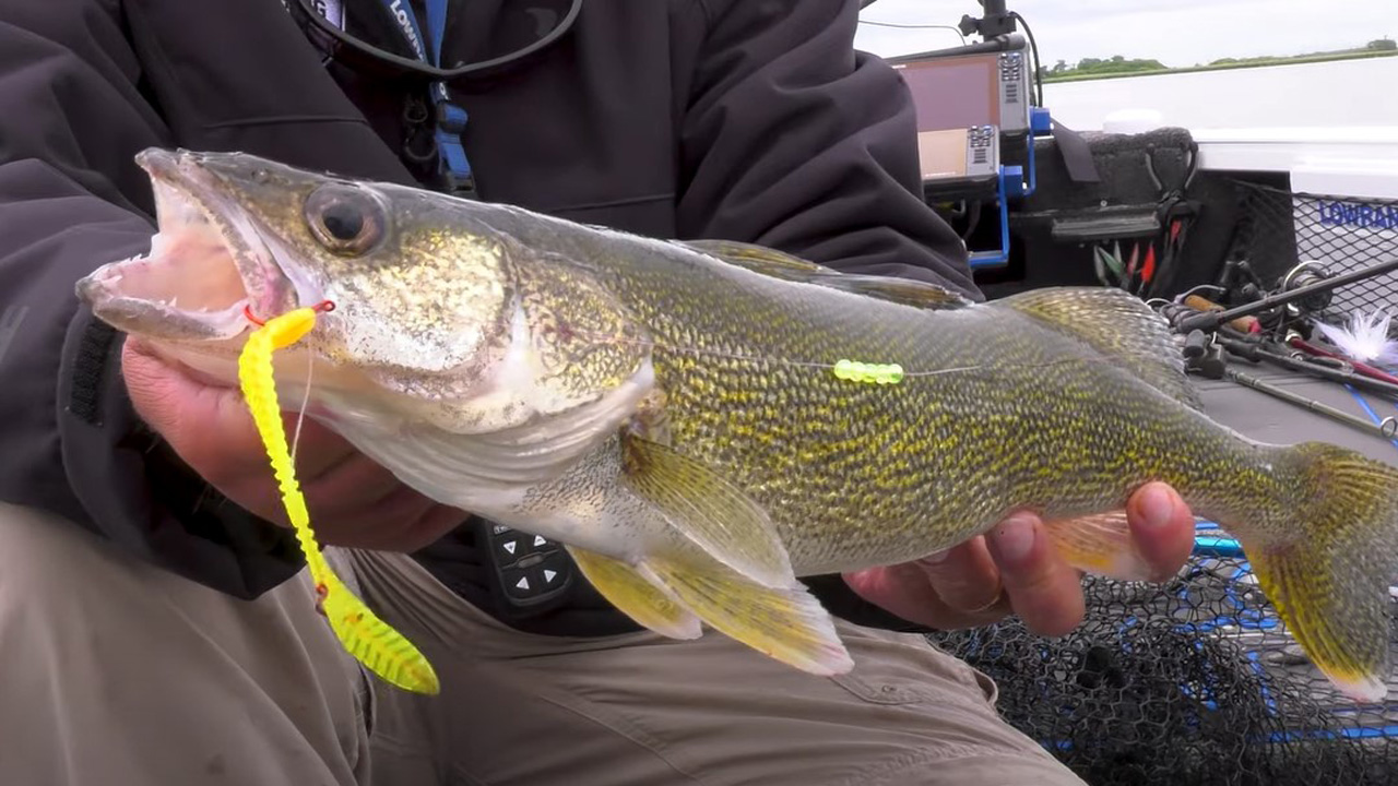 Spinner Rigging Eye-Candy Leeches | Northland Fishing Tackle