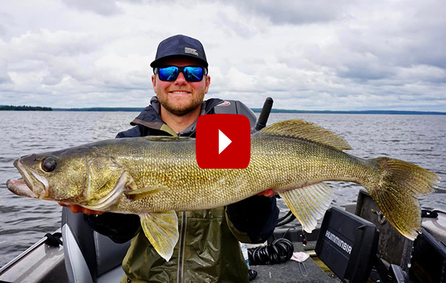Walleye Eye-Candy Minnow | Northland Fishing Tackle