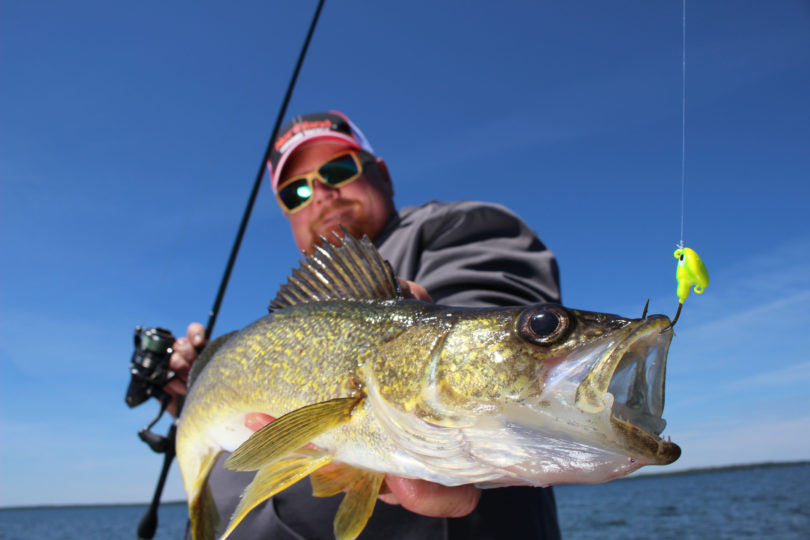 Stinger Hooks Walleye Northland Fishing Tackle Fireball Jig - Bubblegum ...