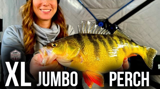 Big Cascade Perch Fishing | Northland Fishing Tackle