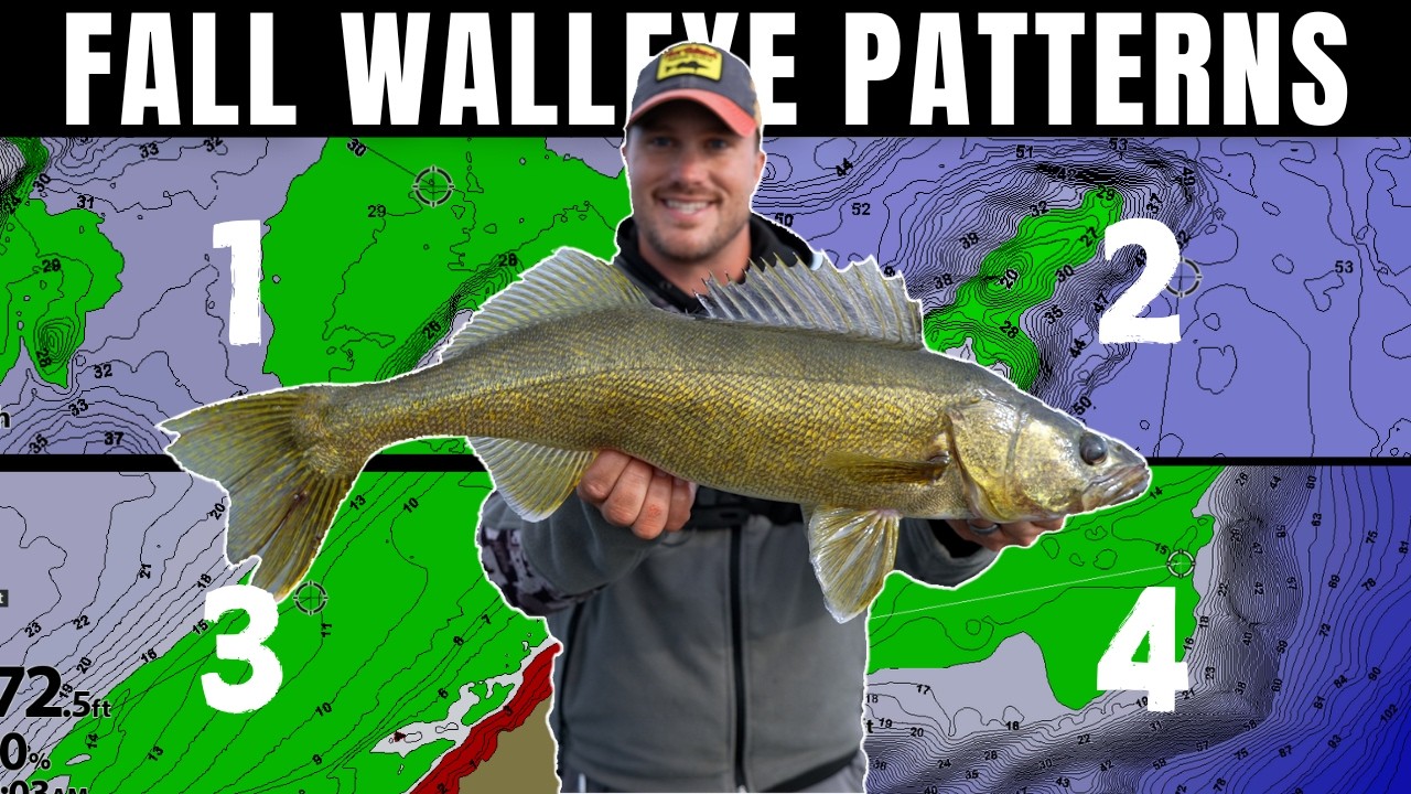 Fall Walleye Patterns | Northland Fishing Tackle