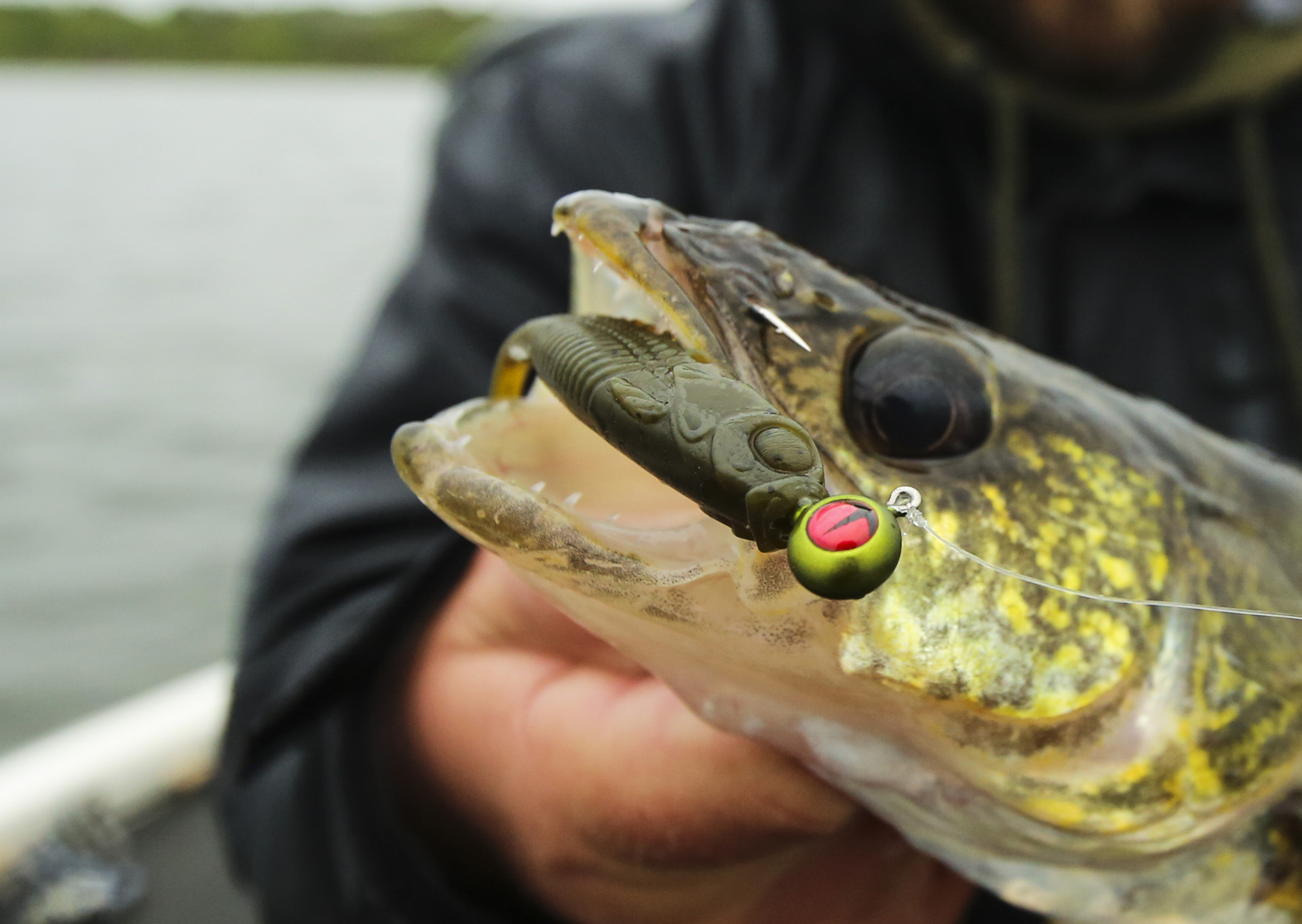 The Tungsten Jig Truth | Northland Fishing Tackle
