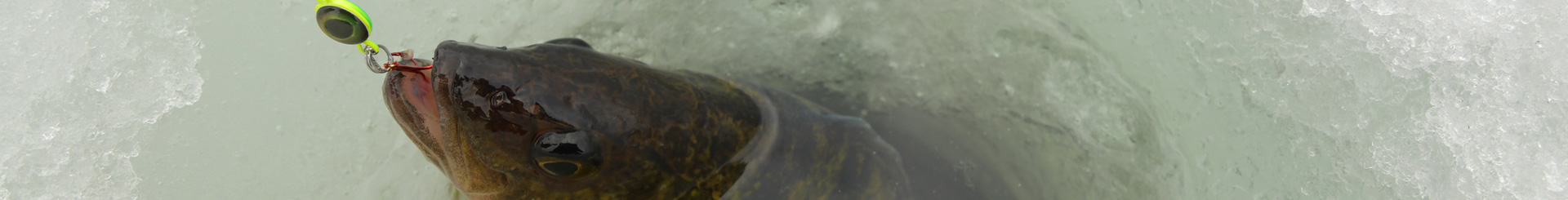 Blog | Northland Fishing Tackle