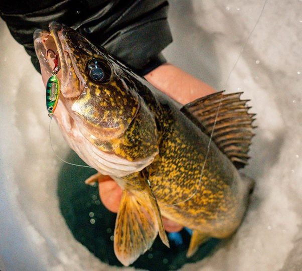 New Ice Fishing Tackle Northland Fishing Tackle